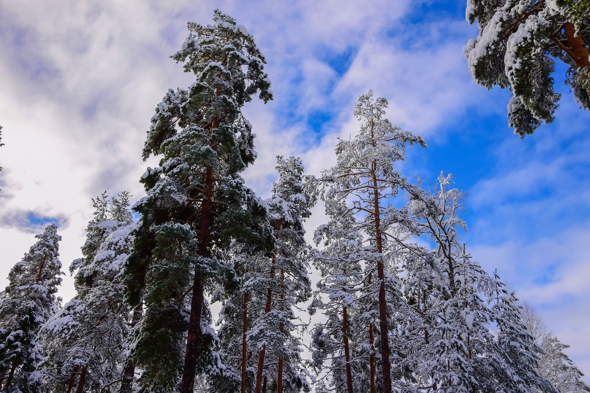 Lukijan kuva: Talvi saapui - Alueviesti
